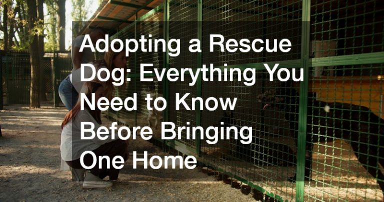Adopting a Rescue Dog: Complete Guide to Preparing Your Home and Heart ...